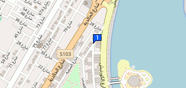 Al Dimashqi Medical Center, Clinic 205, Corniche St, phone +971 6 556 3553